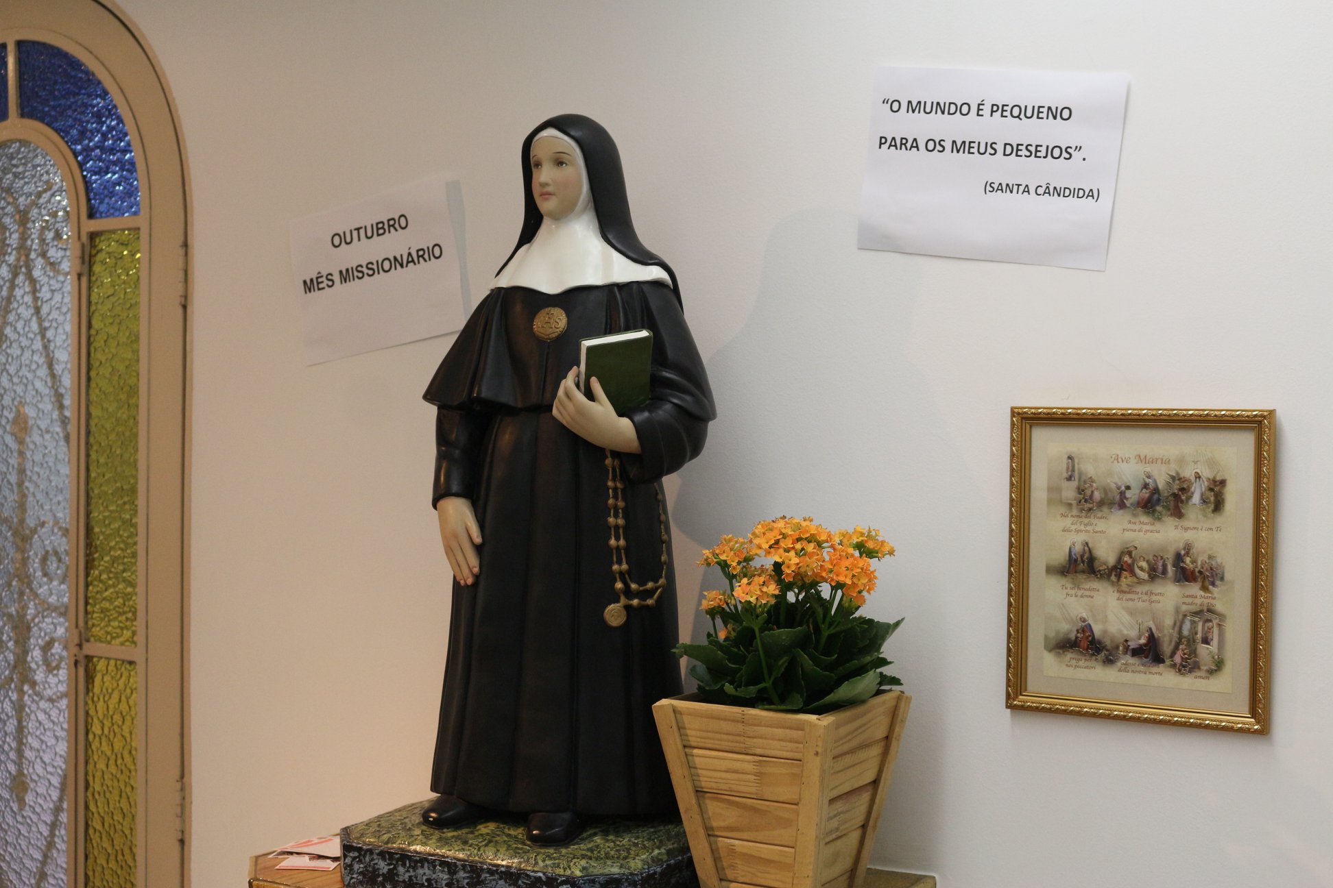 Celebração de ação de graças pela canonização de Santa Cândida Maria de ...